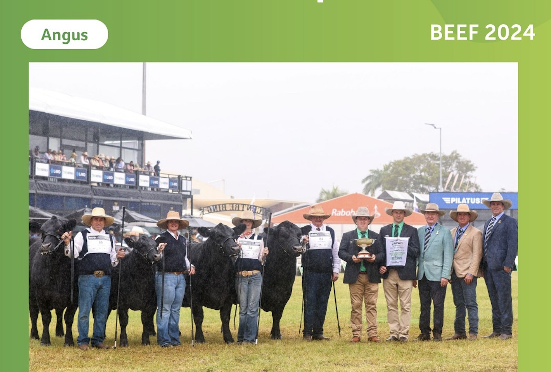 BEEF 2024 - Pine Creek Angus Stud